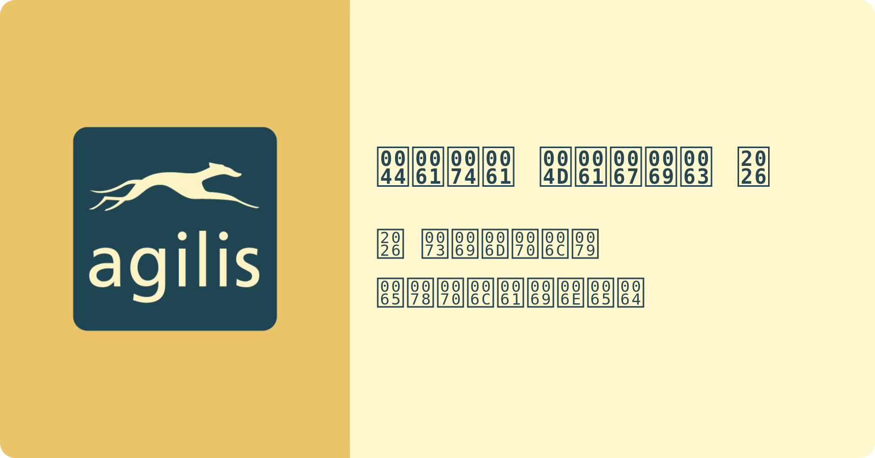 Data Magic. | AGILIS