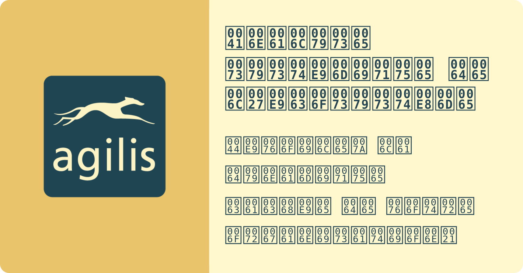 Analyse systémique de l'écosystème | AGILIS
