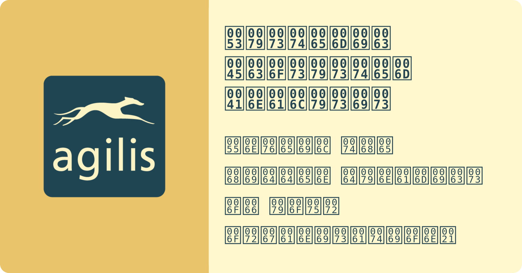 Systemic Ecosystem Analysis | AGILIS