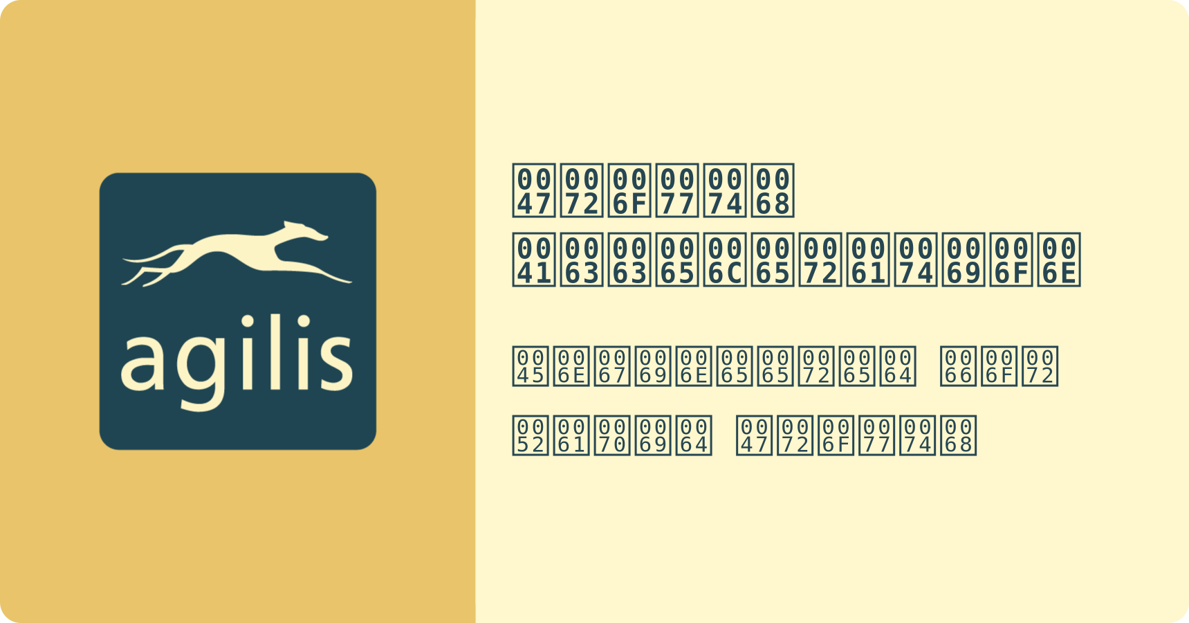 Growth Acceleration | AGILIS